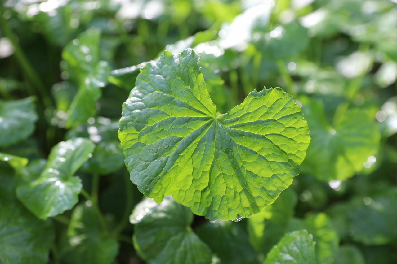 Article : rimanwin.com | rimanwin | RIMAN | K-Trends | K-Pop | K-Platform | K-Beauty